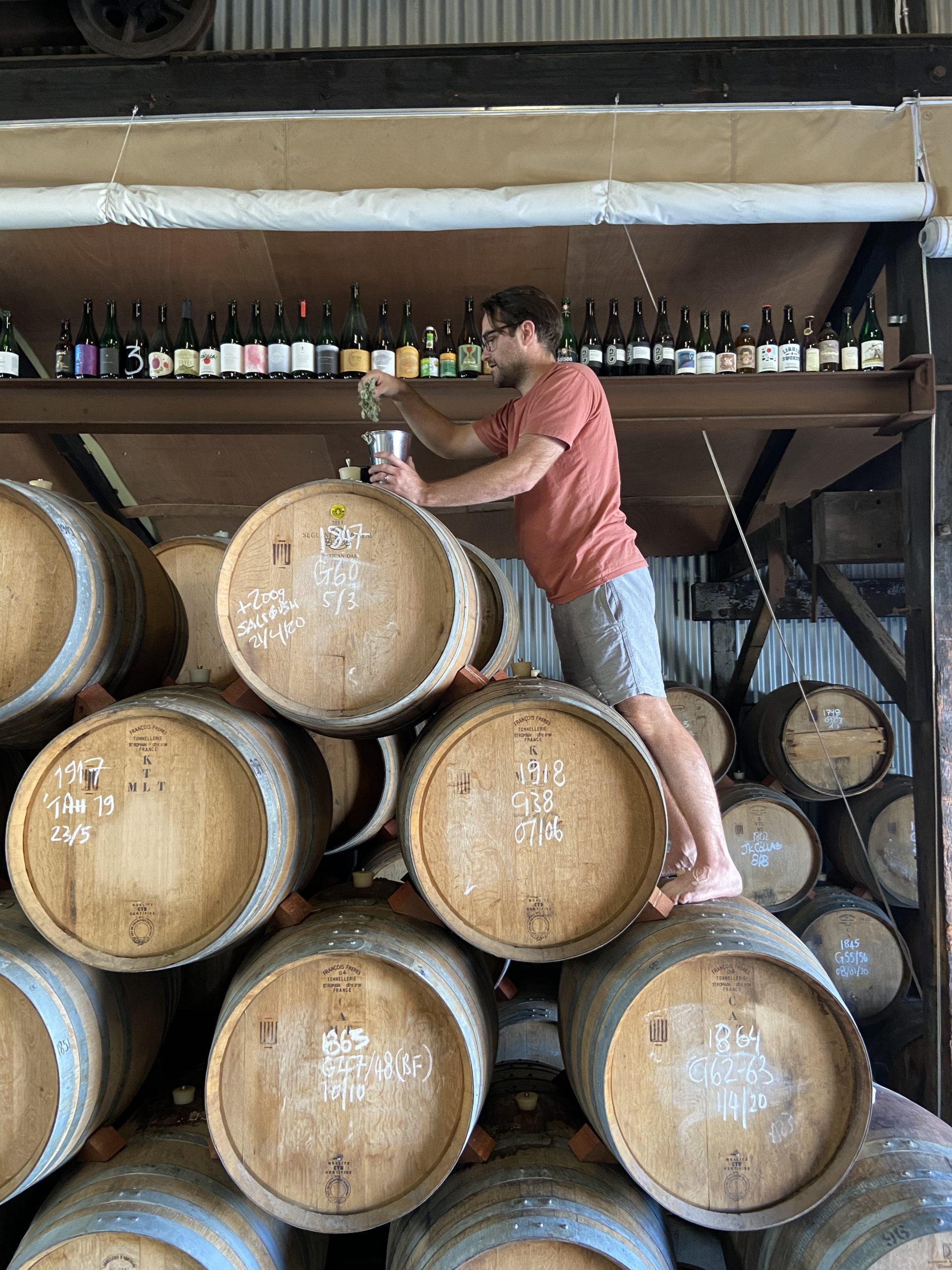 New podcast – Topher Boehm, Wildflower | The Unbearable Lightness of ...